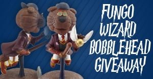 New Hampshire Fisher Cats 2018 Promotional Stadium Giveaways - Stadium ...